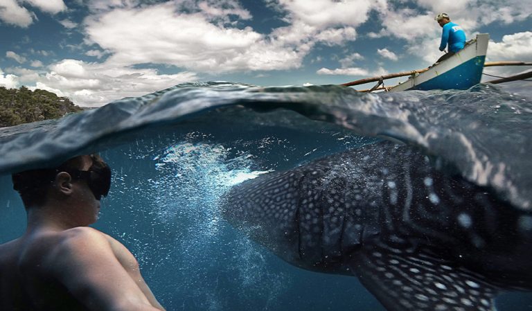 Unparalleled Action Cameras: Sheba Microsystems' MEMS Technology ...